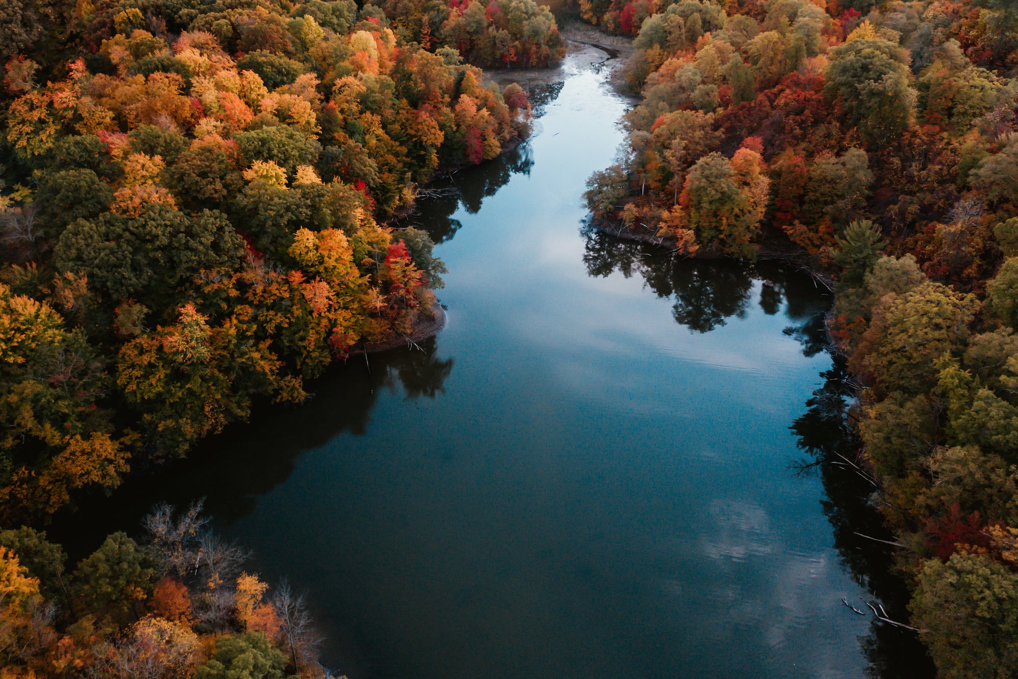 Cortland County SWCD Online Sales Platform – Cortland Soil and Water ...